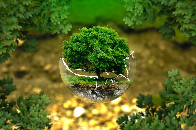 Climate Equity - Climate Council